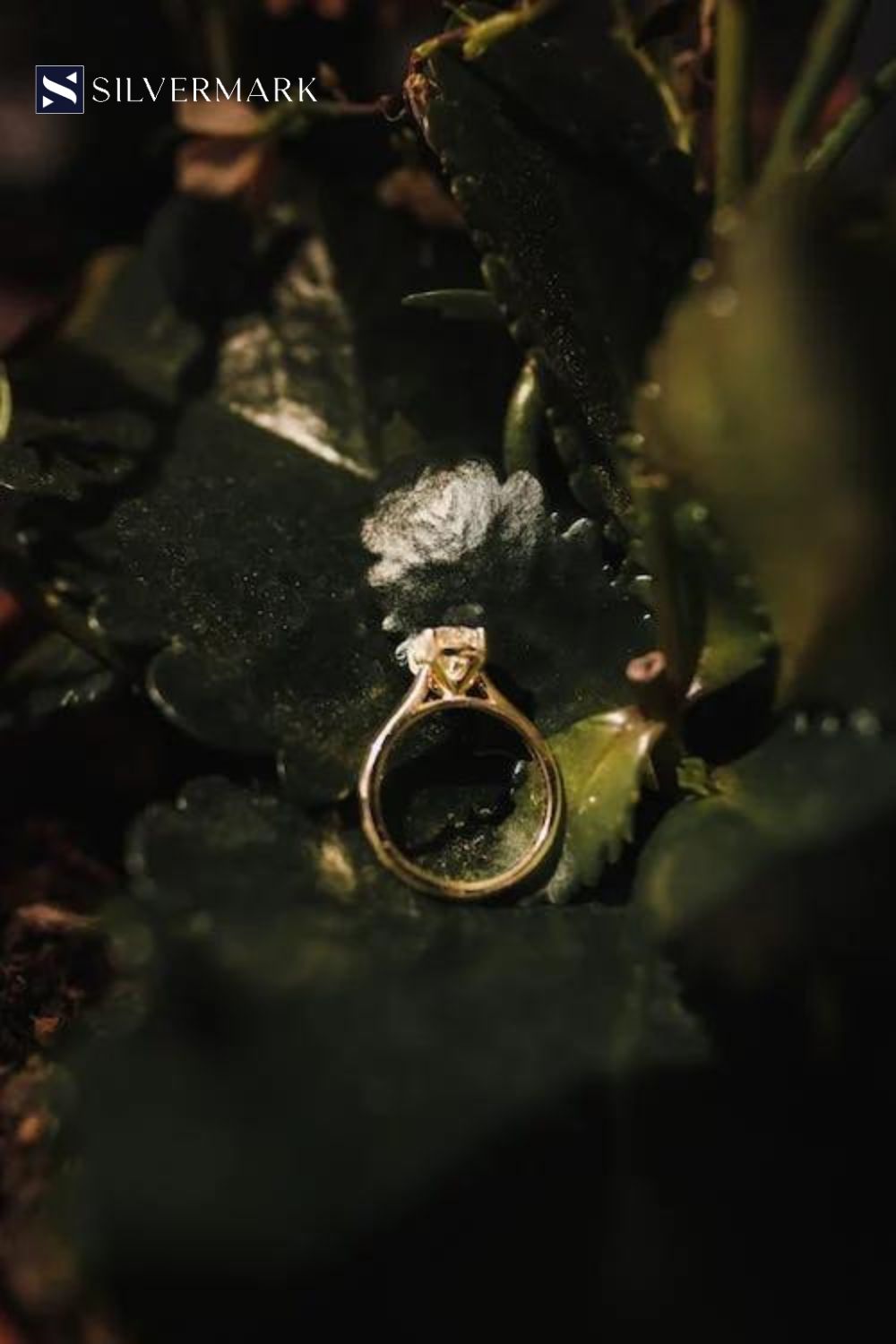 "Silver jewelry inspired by different types of animals" – silvermark